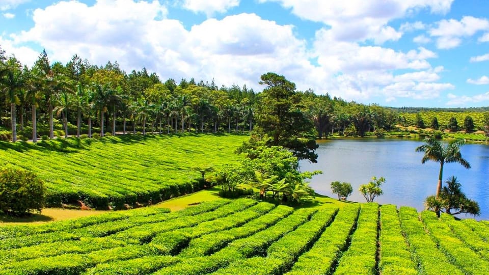 Mauritius: Private Full-Day South Mauritius Tour | GetYourGuide