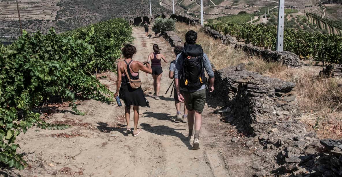 Pinhão: Douro Valley Guided Hike | GetYourGuide