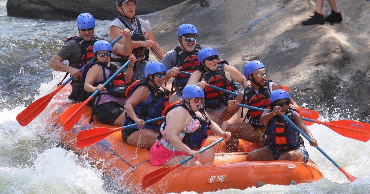 New River Gorge: Lower New River Full-Day Rafting Tour | GetYourGuide