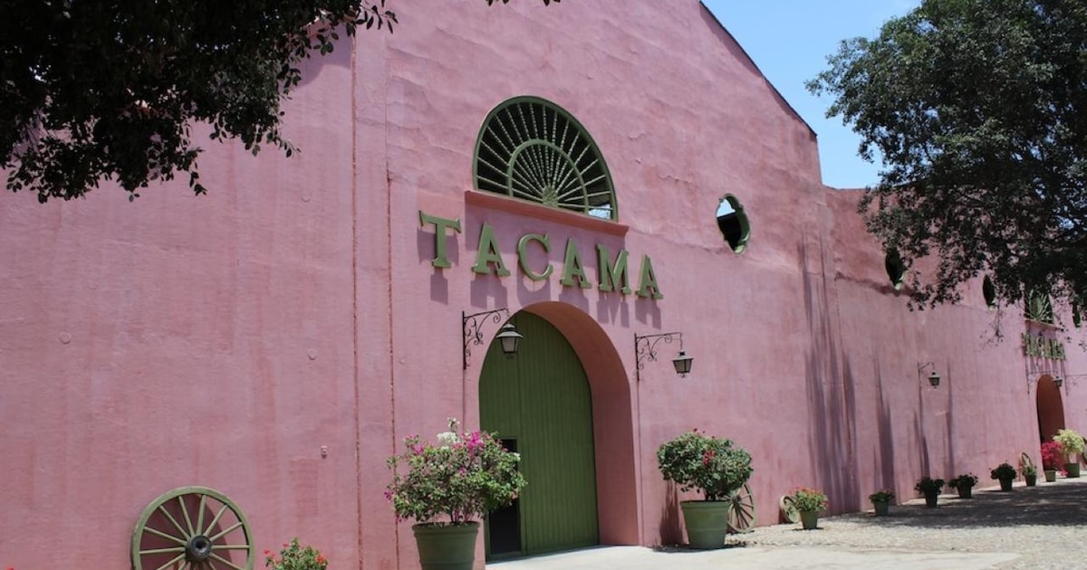 Ica: Pisco Tour | Tacama, Arrabal, Bodega Lovera | | GetYourGuide