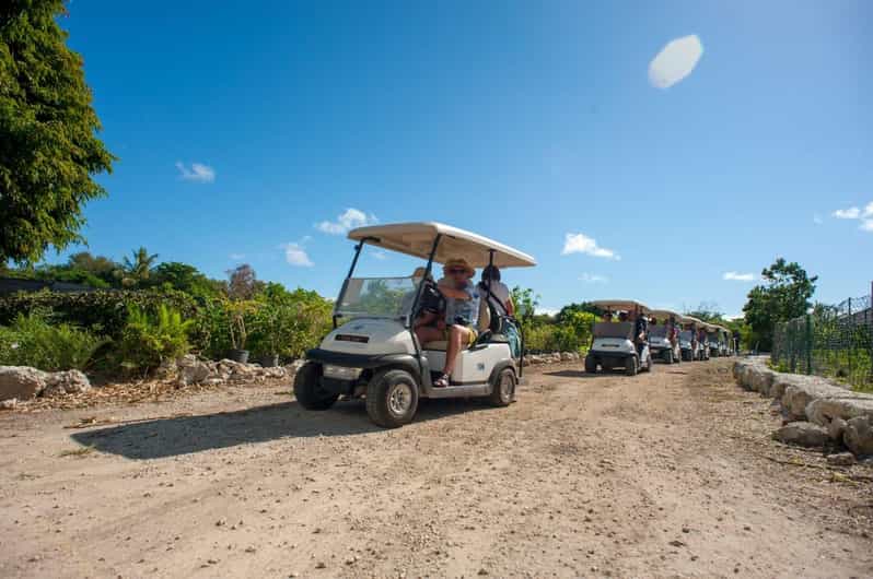 Golf Cart Eco Tour Half Day Tour | GetYourGuide