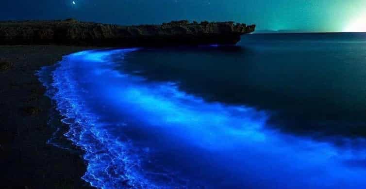 Cat ba island : Lan Ha Bay Biolumineszenz Plankton Kajakfahren | GetYourGuide