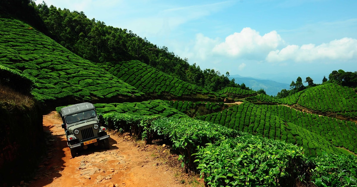 Munnar: Hill station Highlights 4x4 off road sunset safari | GetYourGuide