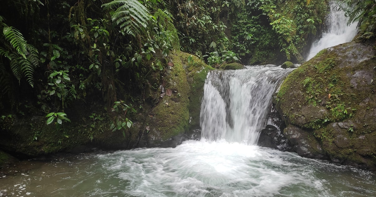 Mindo: "Birds, Chocolate/Coffee and waterfalls" | GetYourGuide