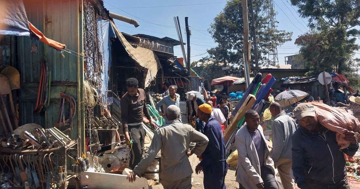 Full day city tour of Addis Ababa(8-9) hours | GetYourGuide