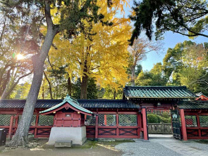 Tóquio antiga e nostálgica: Excursão de meio dia a pé por Yanaka ...
