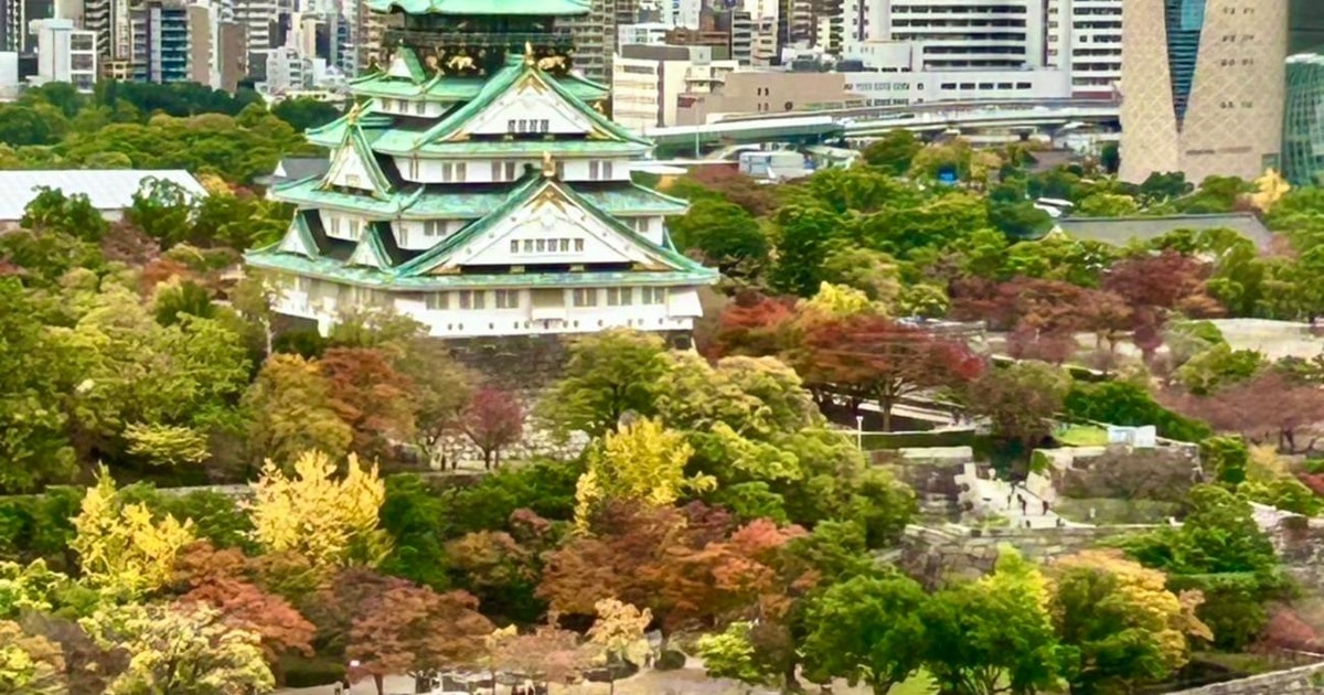 Osaka: ¡Experimenta las Impresionantes Hojas de Otoño a Todo Color ...