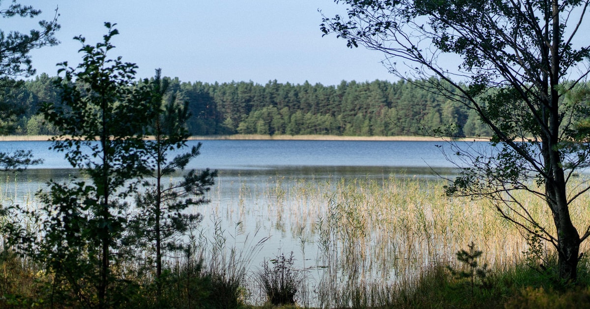 Riga: Seaside Nature Park Walk with Photographer | GetYourGuide