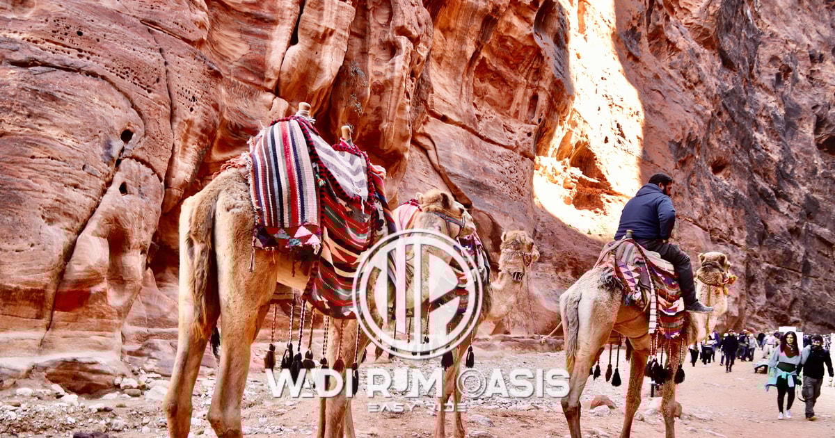 From Amman Visit Petra One Day Private Tour | GetYourGuide
