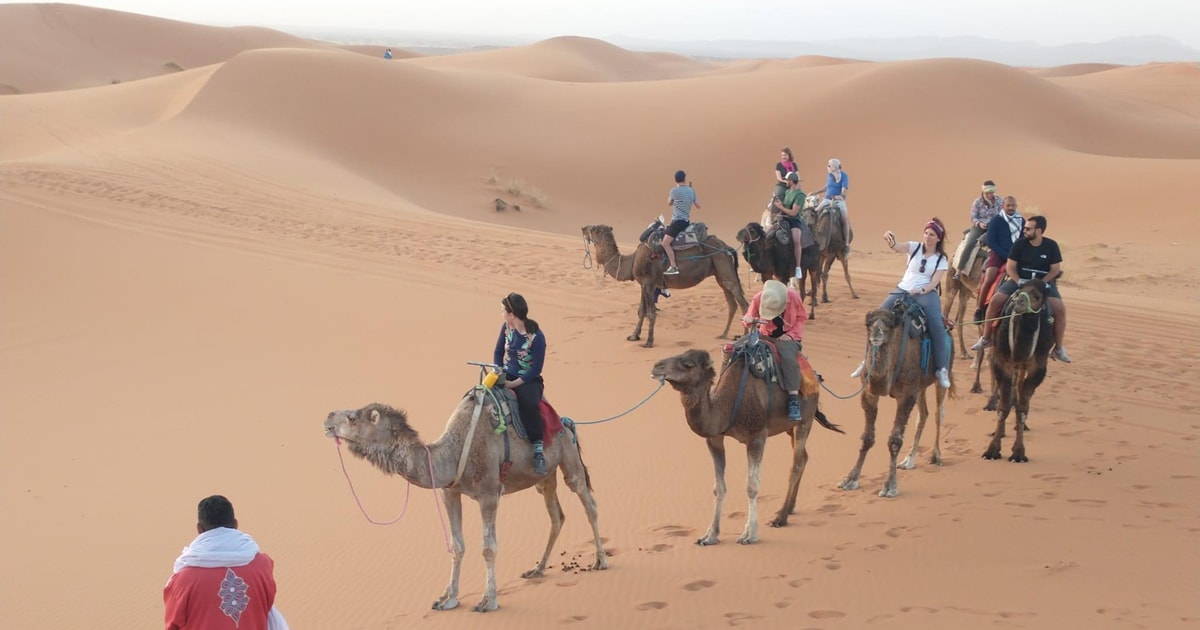 Marrakech: Merzouga Desert 3-Day, 2-Night Sahara Tour to Fez | GetYourGuide