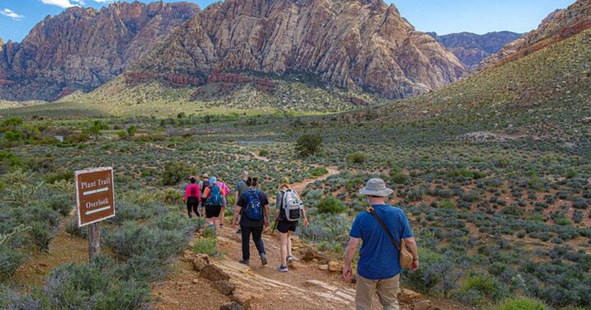 Las Vegas: Spring Mountain Ranch Wandeling & Happy Hour | GetYourGuide