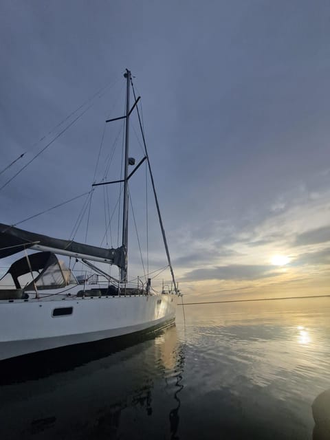 Ria formosa Sailing vessel experience | GetYourGuide