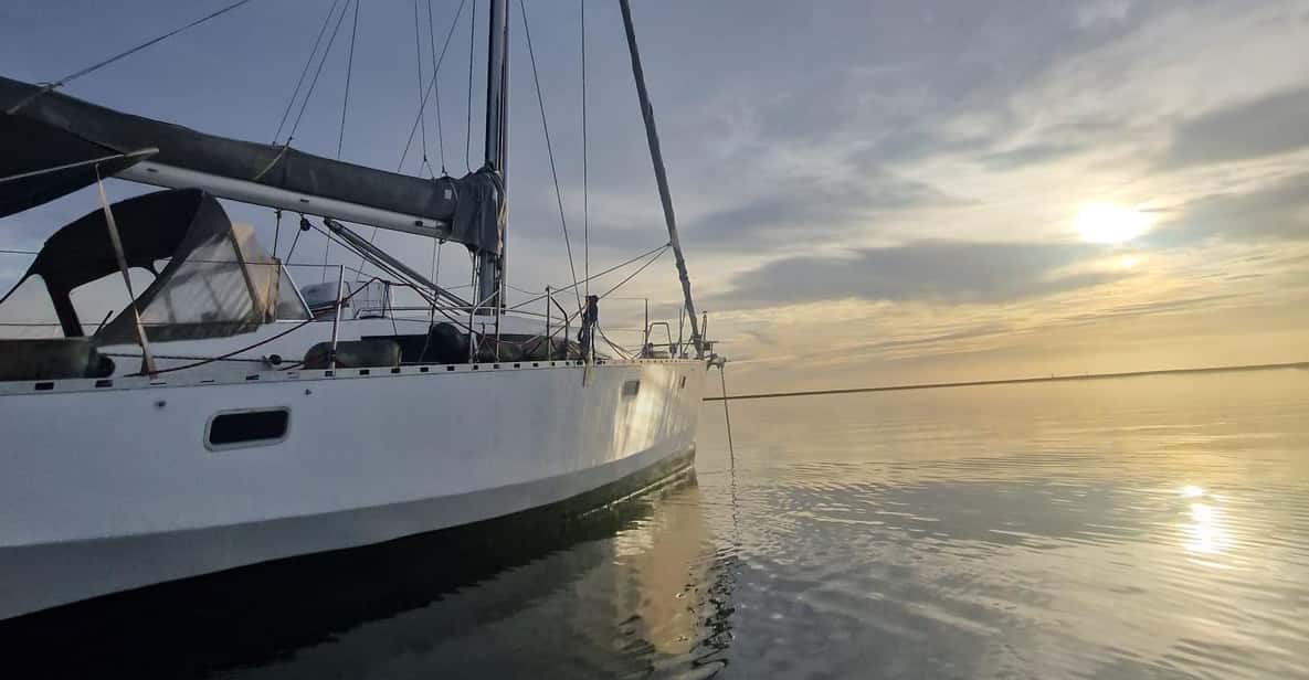 Ria formosa Sailing vessel experience | GetYourGuide