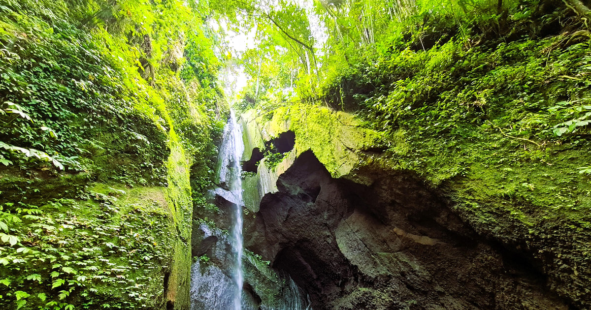 Bali’s Mystical Jungle Trek & Hidden Waterfall Adventure | GetYourGuide