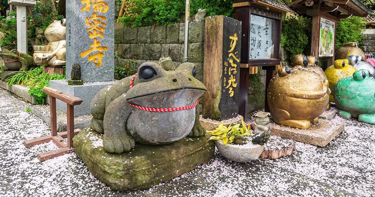 Fukuoka:Kyushu Tour with Dazaifu, Frog temple, Yufuin,Onsen | GetYourGuide