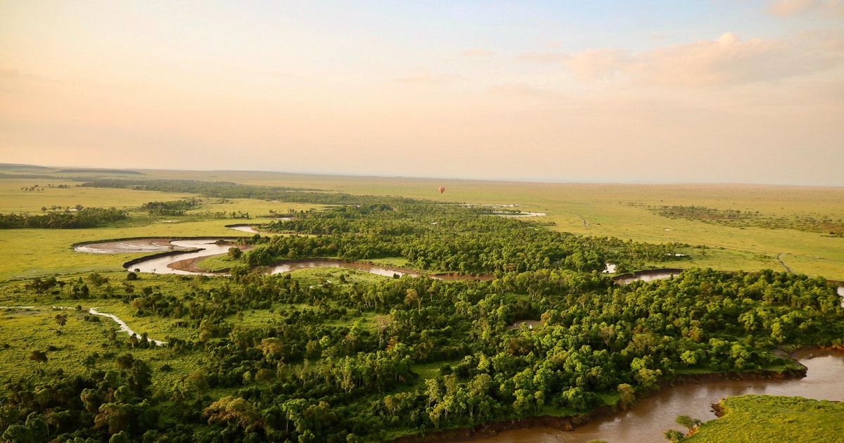 4 napos Tarangire és Serengeti vadvilági szafari | GetYourGuide