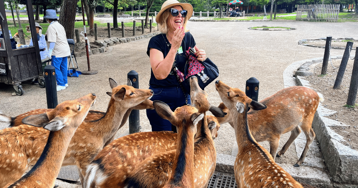 From Kyoto: Nara Guided Morning Tour | GetYourGuide