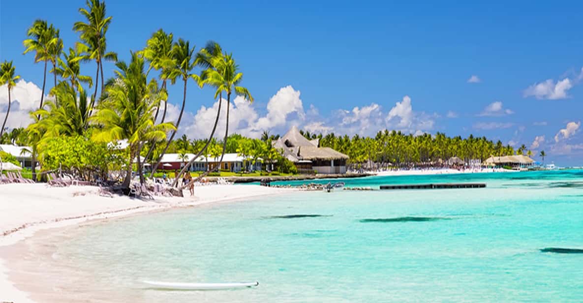 From Santo Domingo: Saona Island Day Trip with Lunch | GetYourGuide