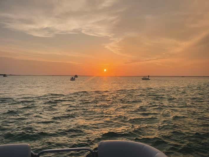 Crucero al atardecer con delfines por la costa Esmeralda | GetYourGuide
