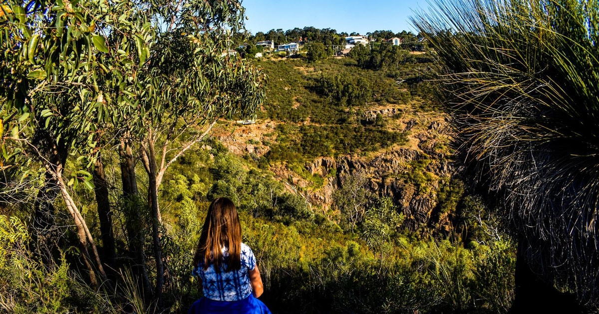 Perth: Darling Range Waterfalls & Wildflower Immersion | GetYourGuide