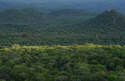 Full Day Trip to Pugu Forest from Dar es Salaam | GetYourGuide