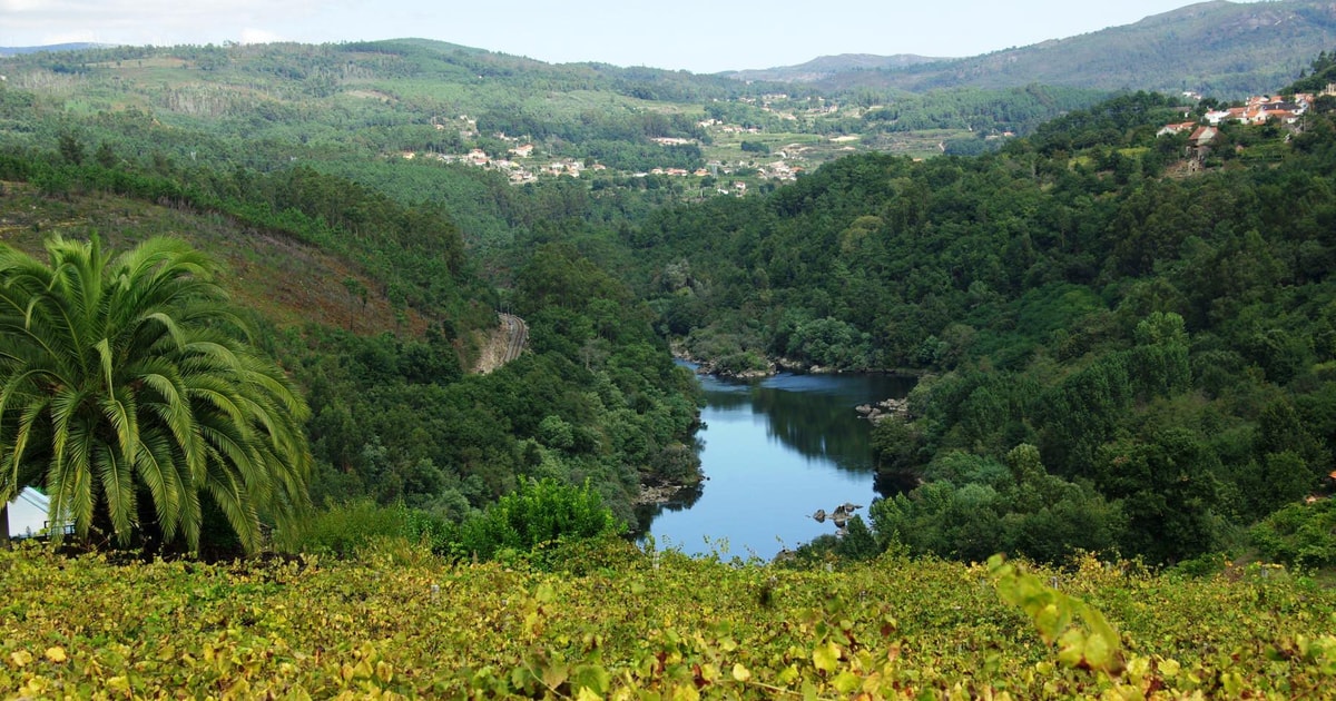 Alvarinho Wine Full Day Tour | GetYourGuide