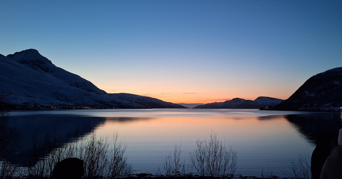 Tromsø: arktyczna przyroda i fiordy – wycieczka w małej grupie z ...