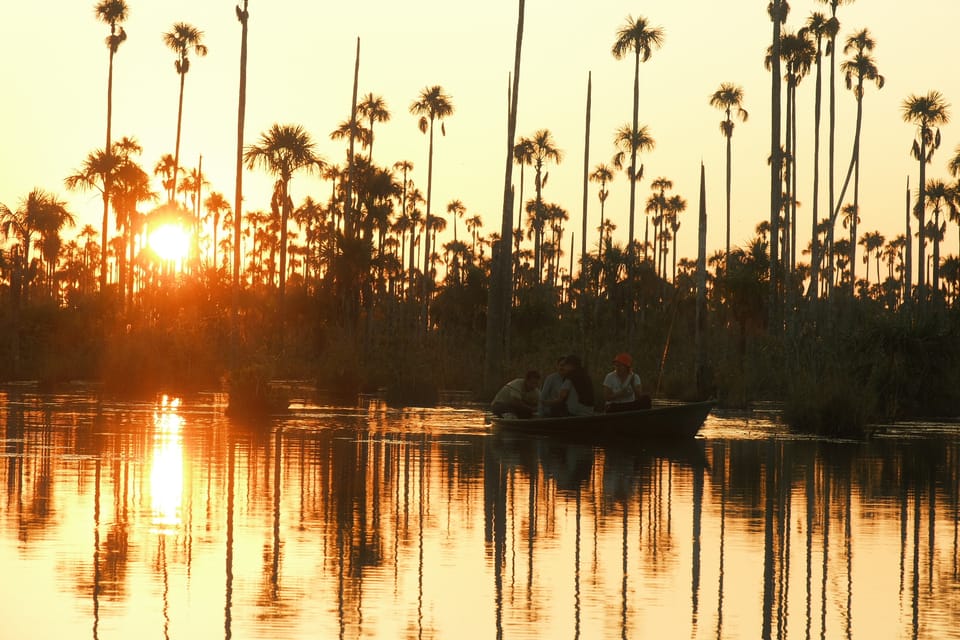 Excursion in the amazon 4d /3 nights | GetYourGuide