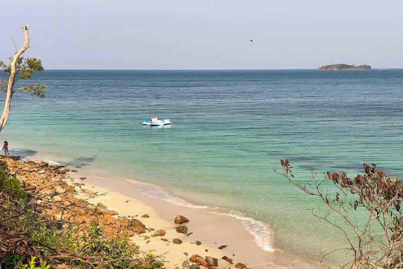 From Panama City: Whale Watching & Las Perlas Beach Day Pass | GetYourGuide