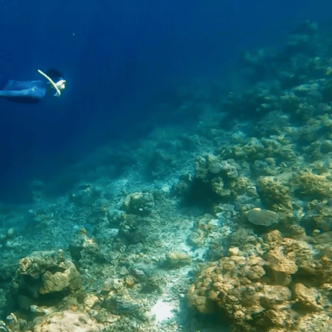Coron: Pukaway Cave Underground Lake Tour w/Lunch (Shared) | GetYourGuide