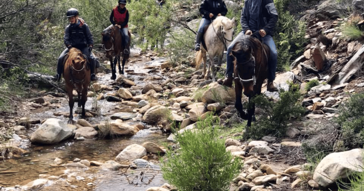 Doornkloof Trail: Guided Outride in the Swartberg Mountains | GetYourGuide