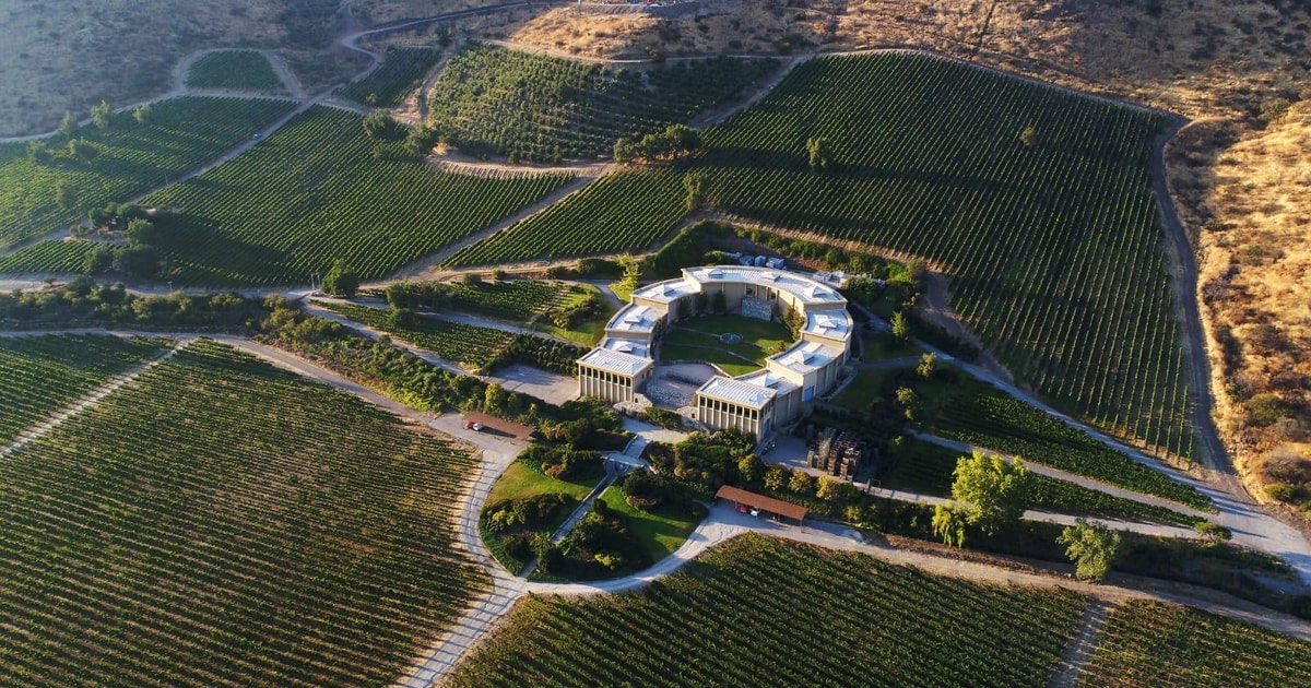 Tour particular de vinhos Viña Haras de Pirque Vale do Maipo | GetYourGuide