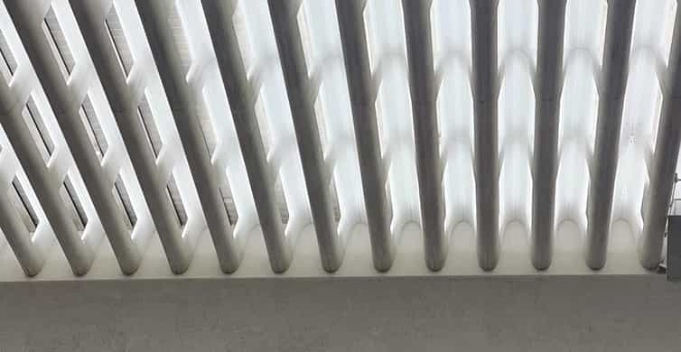 Rome: Papal Audience Tour With Reserved Access | GetYourGuide