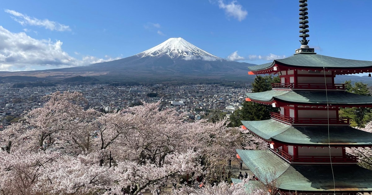 Spectaculaire Fuji: natuur en lokale smaken | GetYourGuide