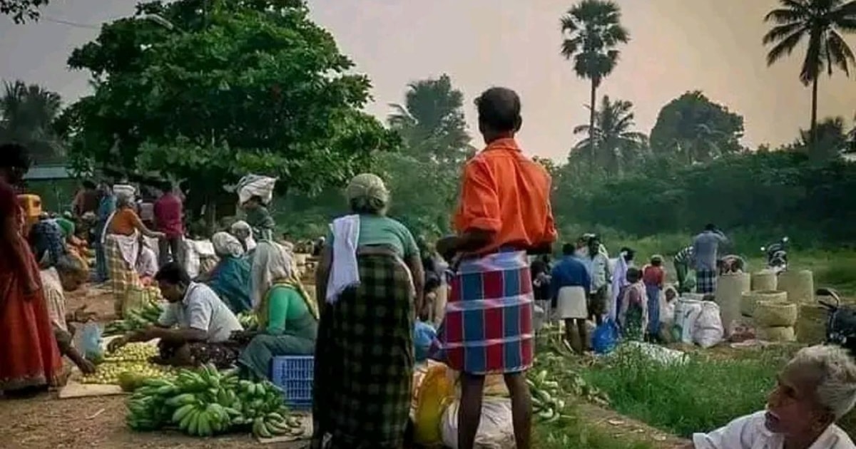 Kochi Erlebnisse: Highlights Lebensweisen & Einstellungen Tour ...