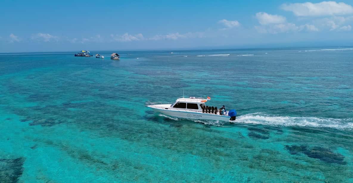 Bali Sanur: Scuba Diving dagstur til Nusa Penida 3 dyk | GetYourGuide