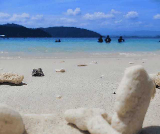Sabah : Mamutik & Sapi Island Excursion Ticket | GetYourGuide