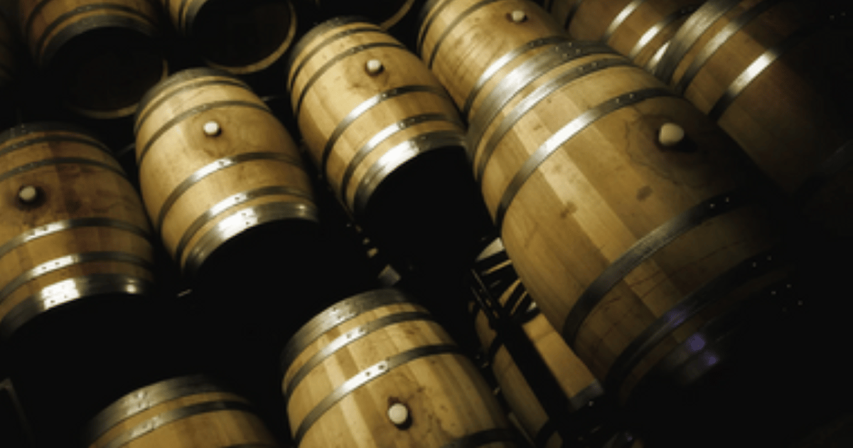 Mallorca: visita a los viñedos y bodega Butxet con cata | GetYourGuide