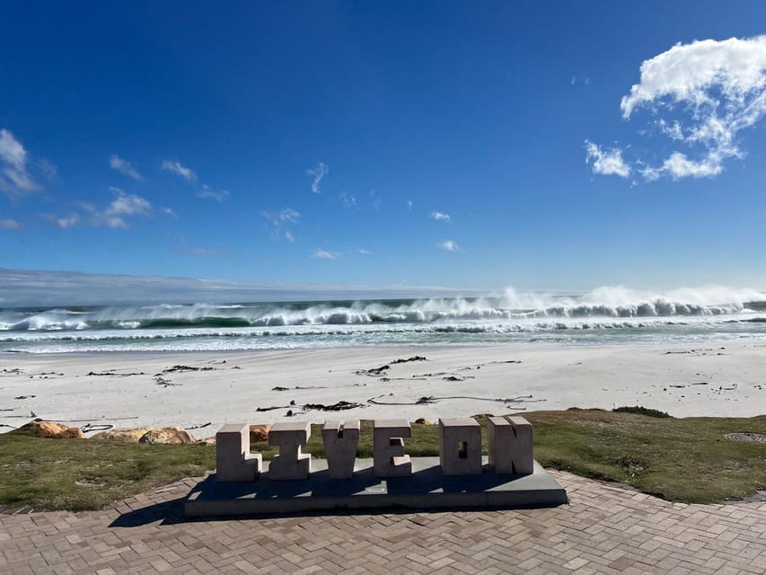 Full-Day Private Cape Town’s Most Beautiful Beaches Tour | GetYourGuide