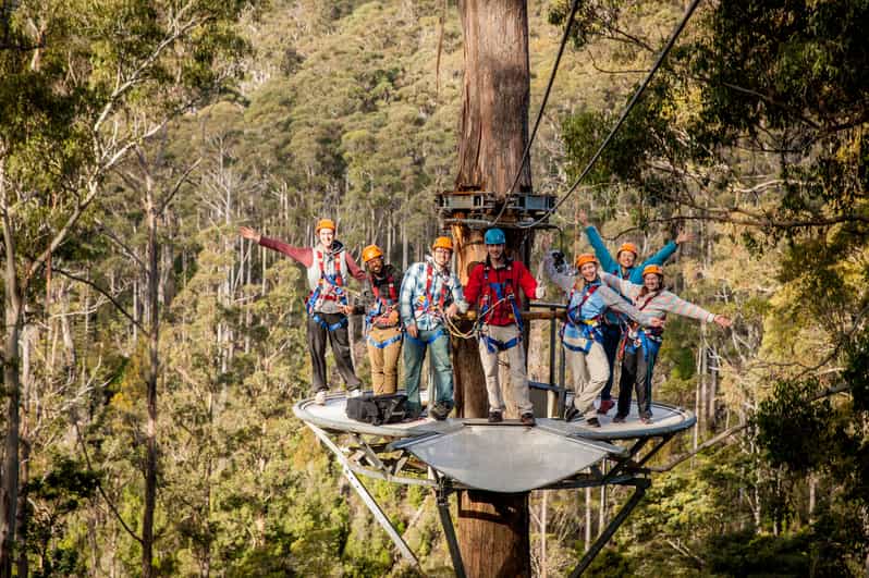 Launceston: Treetops Ziplining Adventure Hollybank | GetYourGuide