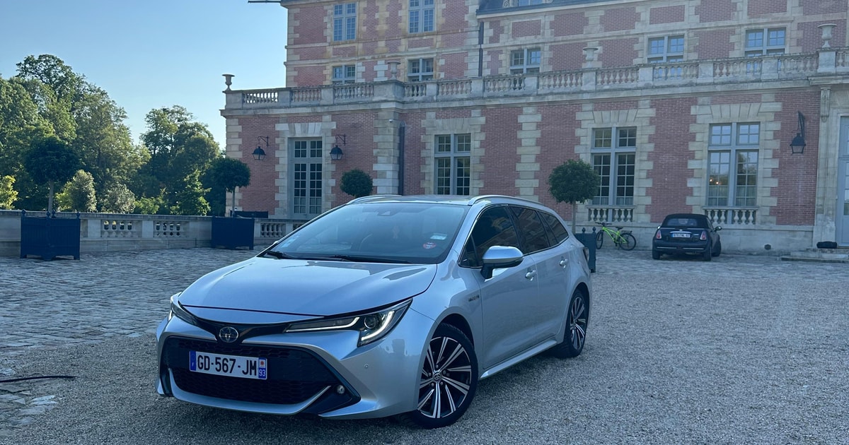 Privater Transfer von den Flughäfen CDG und Orly vers/depuis Disney | GetYourGuide