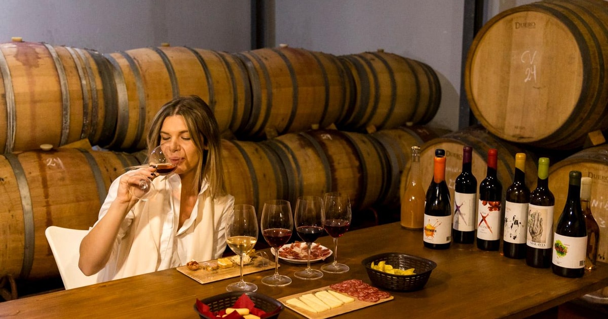 Malaga : visite d'un vignoble et d'une cave avec 6 grands vins et tapas ...