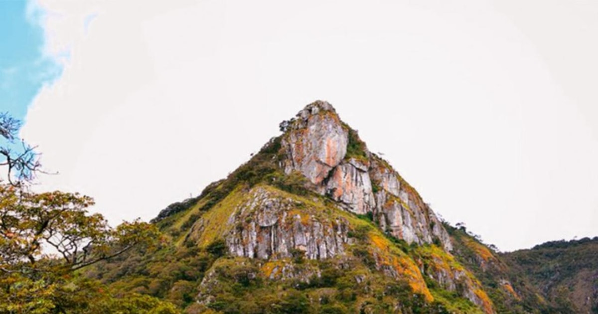 Zimbabwe: Prince of Wales View i Cloudlands Forest Vumba | GetYourGuide