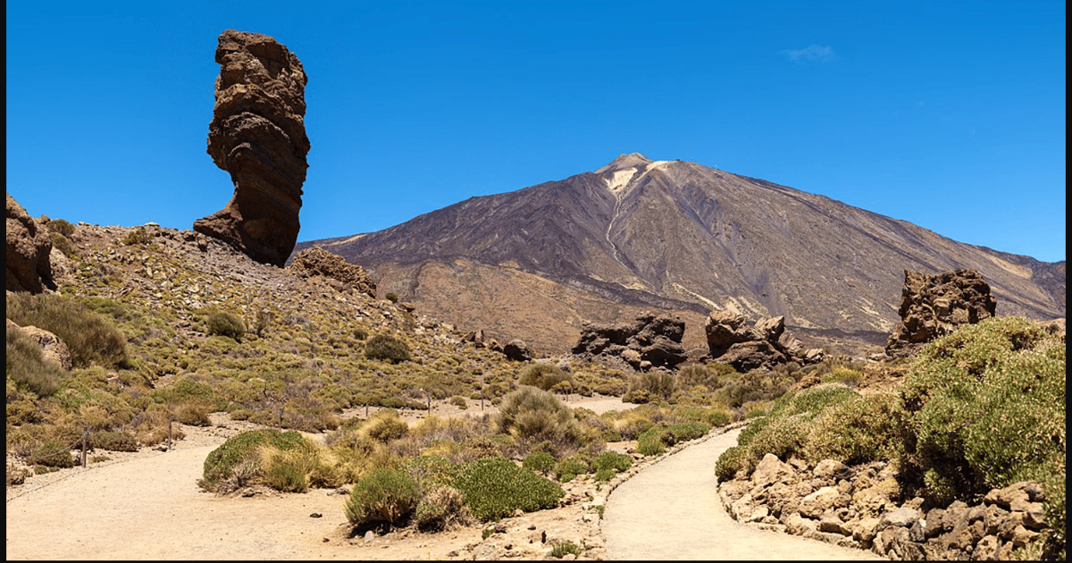 Prueba Uno | GetYourGuide