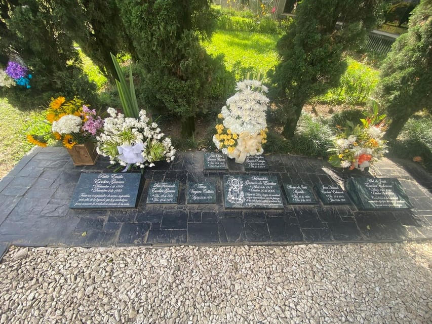 Tour Medellín: Commune13 and Pablo Escobar + Rooftop | GetYourGuide