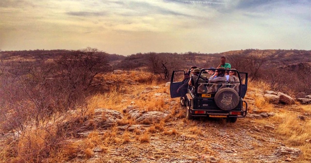 Jaipur: Ranthambore Private Guided Tour with Cab | GetYourGuide