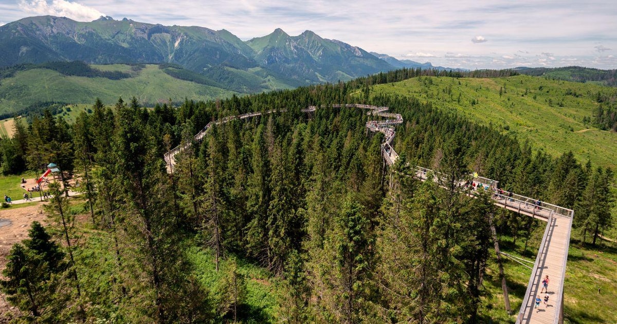 Zakopane: Bachledka Treetop Walk and Strbske Pleso Tour | GetYourGuide