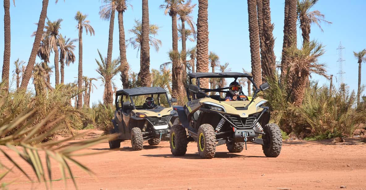 Marrakech:Activities Buggy 1000cc at the palme Marrakech | GetYourGuide