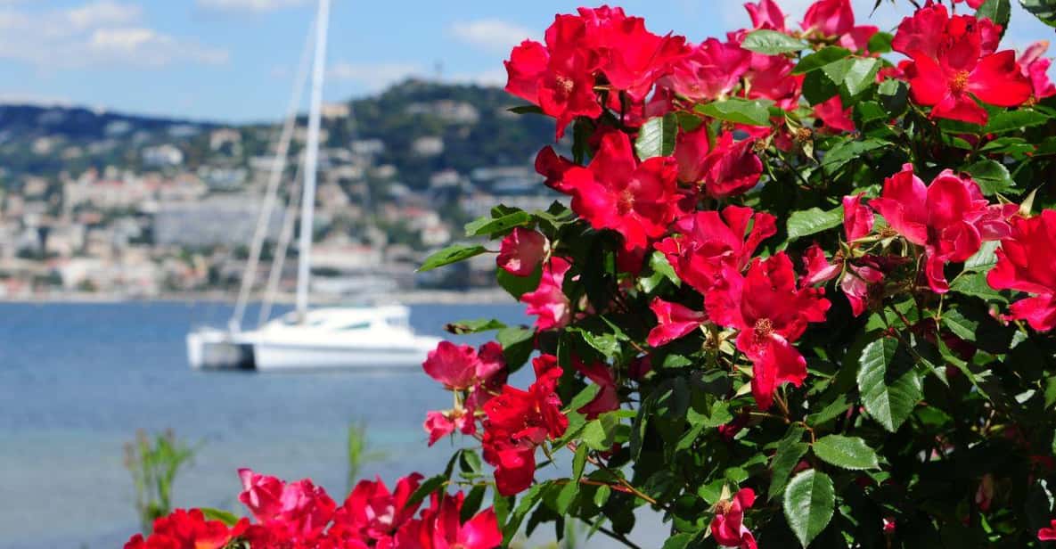 From Cannes:Shore excursion to Grasse,Antibes,St PauldeVence | GetYourGuide