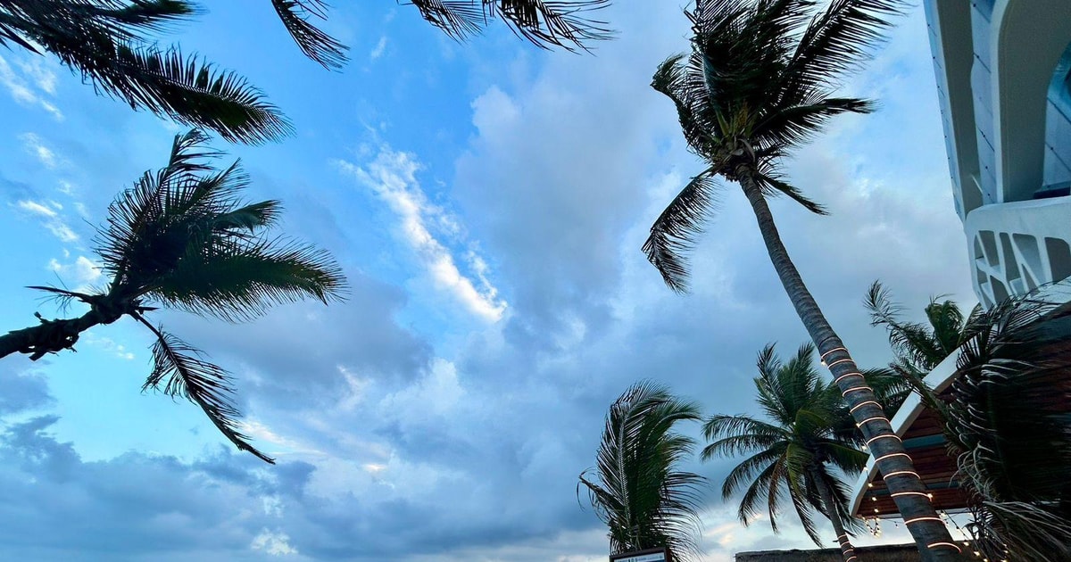 Walking tour: ¡Vive Playa! | GetYourGuide